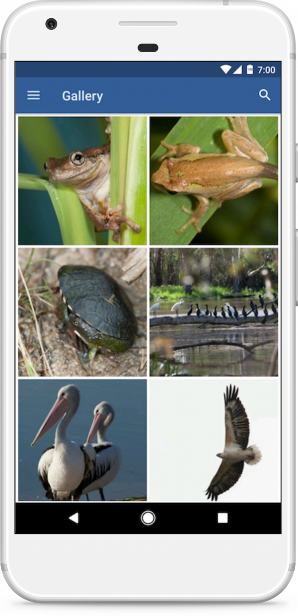 Wildlife Field Guide – JSA